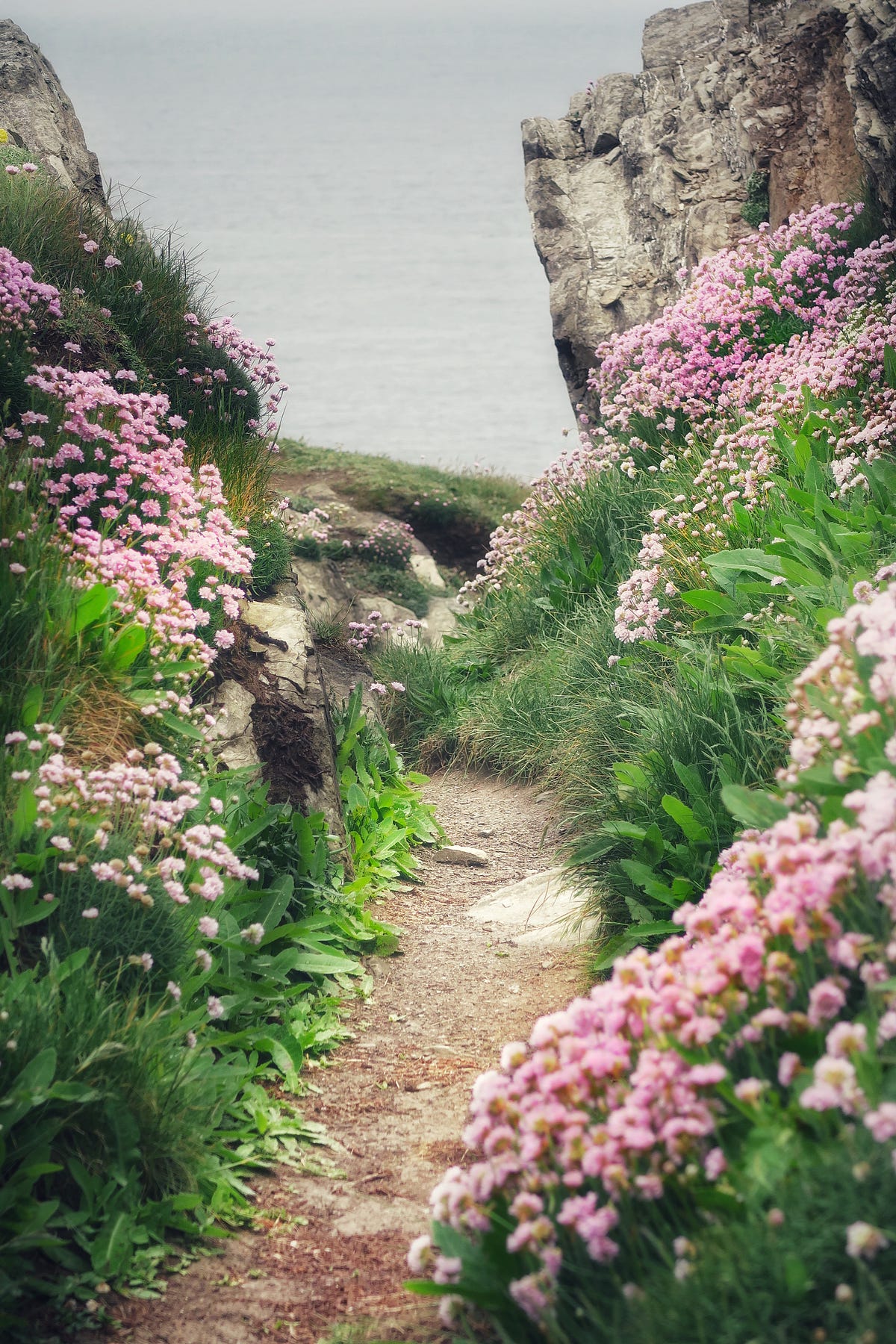 How to Know if You’re on the Right Path | by Julie Lynn | Know Thyself ...