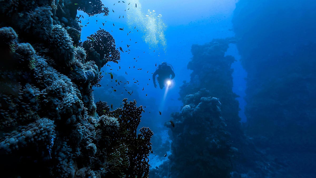 How Much do we Really Know?. Everyone knows how big the ocean is, I ...