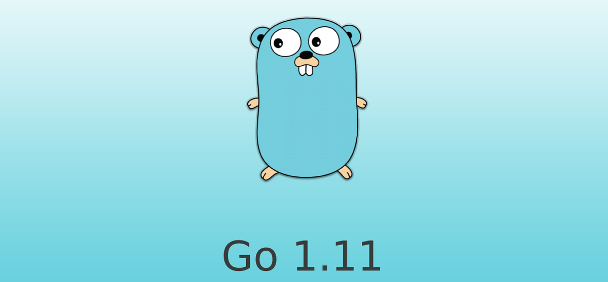 Golang modules and gitlab CI. This is a quick writeup of how to set… | by Stephan D. | Medium