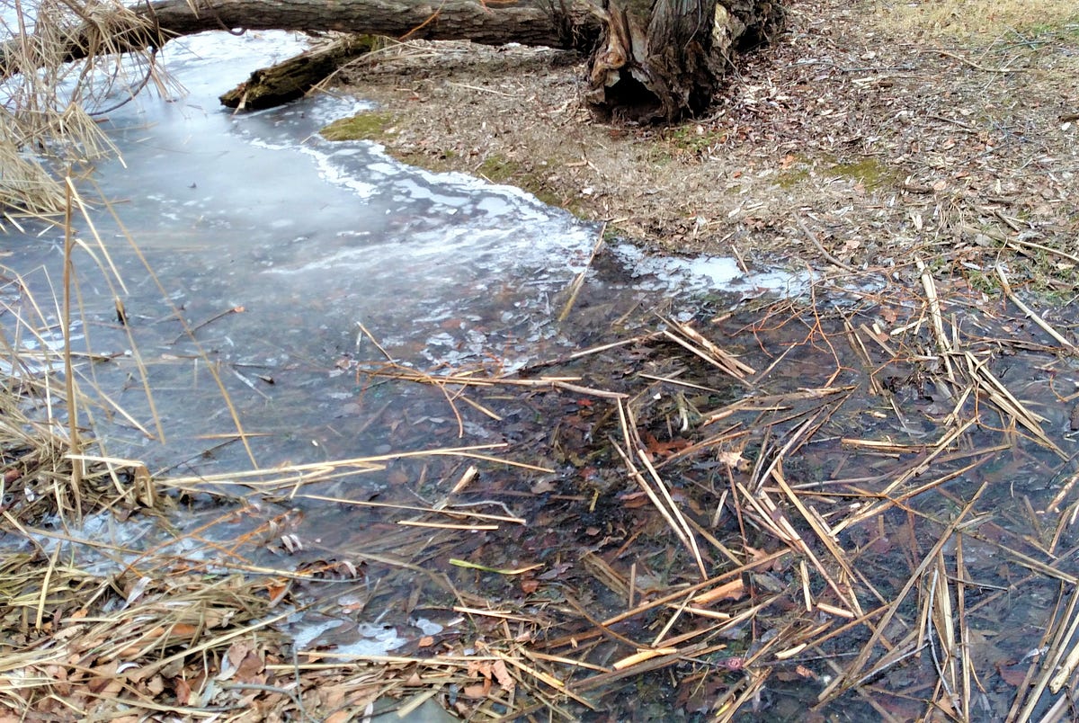 Be like water… Tao Wisdom on Day 6 of 40 Days of Listening | by Mike ...