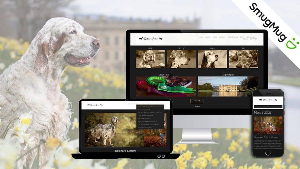 How to Make a Dog Website: Ultimate Canine Guide | by Sayma | Jul, 2024 ...