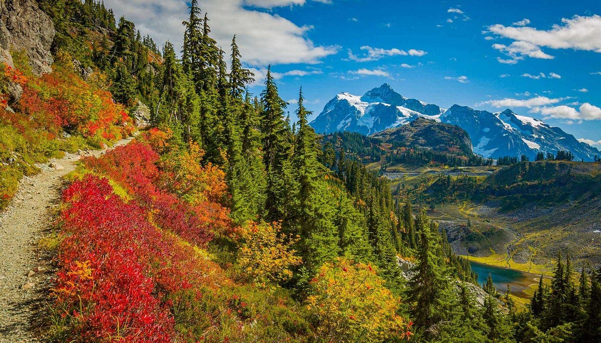 The Ultimate Hiking Guide 2024 — Exploring Nature’s Beauty | by ...