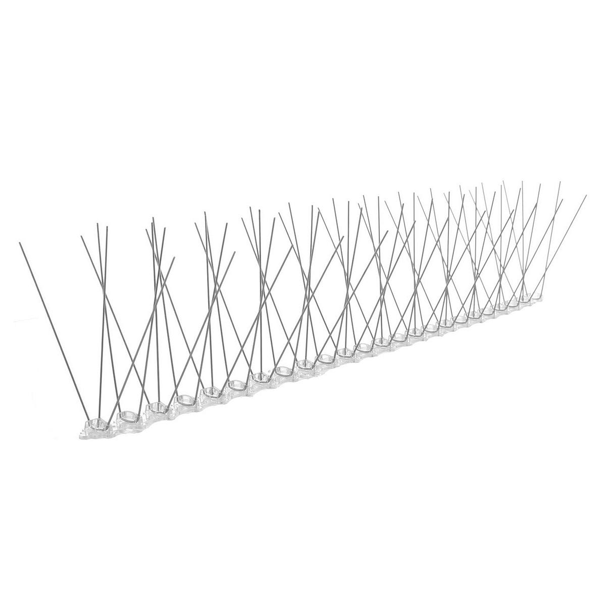 Everything You Need To Know About Bird Spikes | by Gwenda Sameera | Medium
