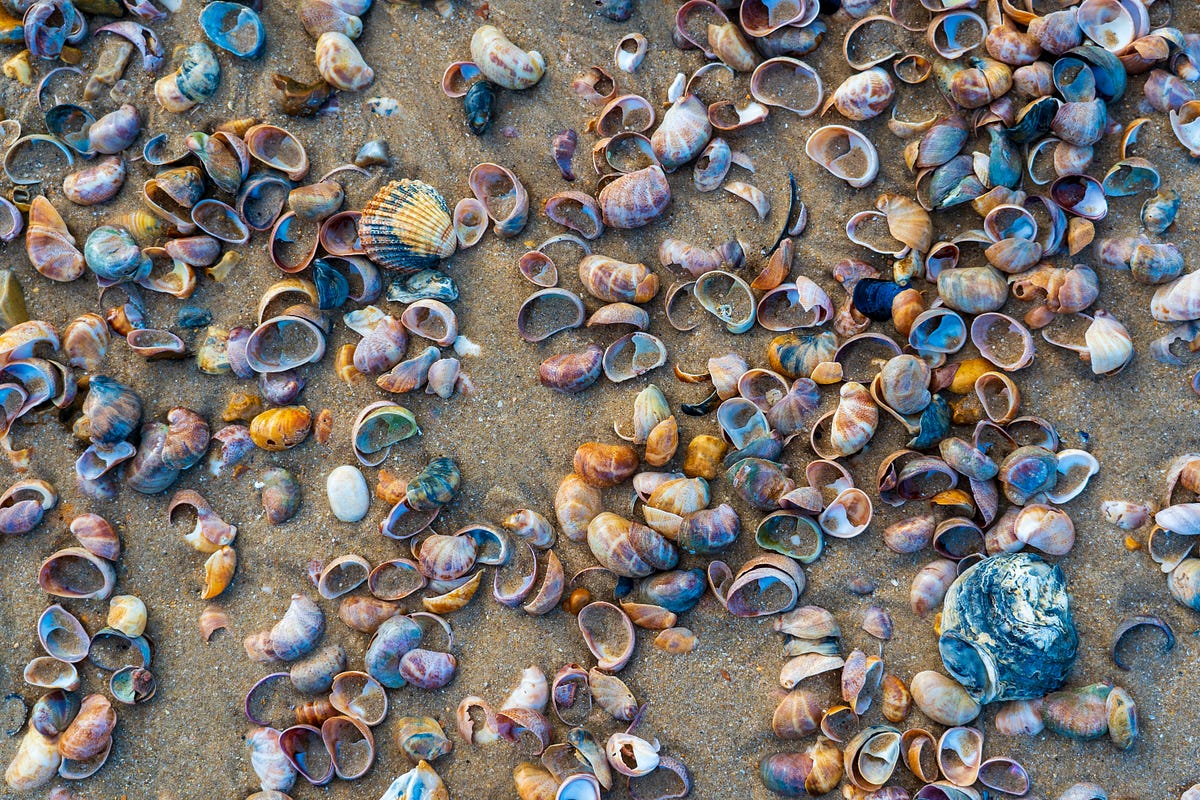Resize And Scroll Event Listeners In React Enhancing Dynamic User