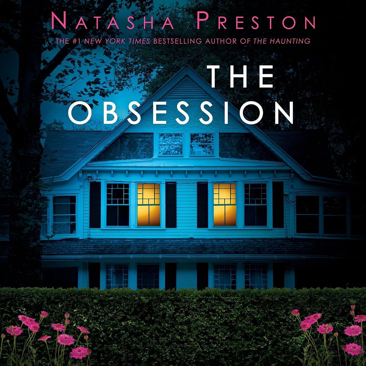 The Obsession Review: Preston's Family Vlogger Thriller | Medium