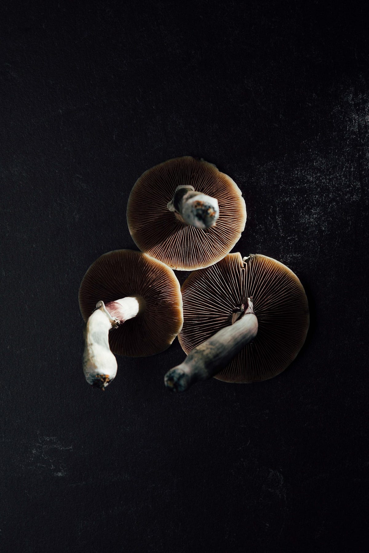 How Long Do Shrooms Last? Understanding the Duration of Psilocybin ...
