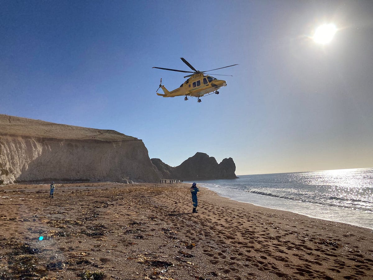 Holiday, Helicopters, Home, Heat, Heath | by Christine Morris Ph.D ...