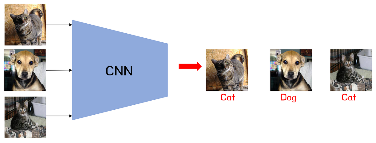 Navigating Image Classification with TensorFlow: Distinguishing Cats vs. Dogs | by Harshavardhan ...