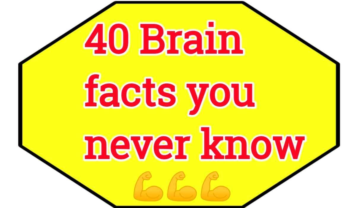 Top 50 interesting facts about the brain psychology | by gk teaching ...