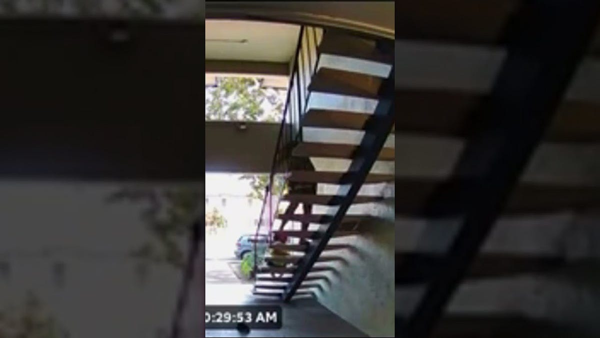 Poor Kid Have A Long Fall Down | Doorbell Camera Video - Doorbell ...