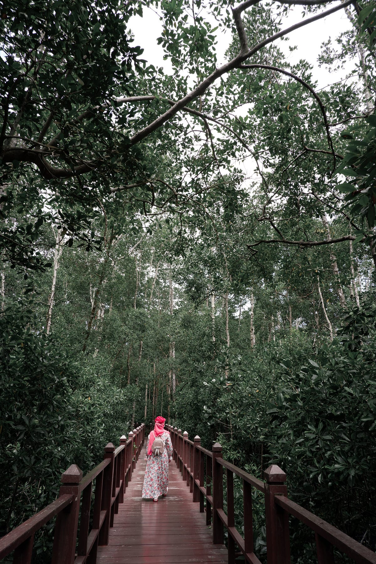 The Magic Woods. Around the back of the memory house | by Rachael Bao ...