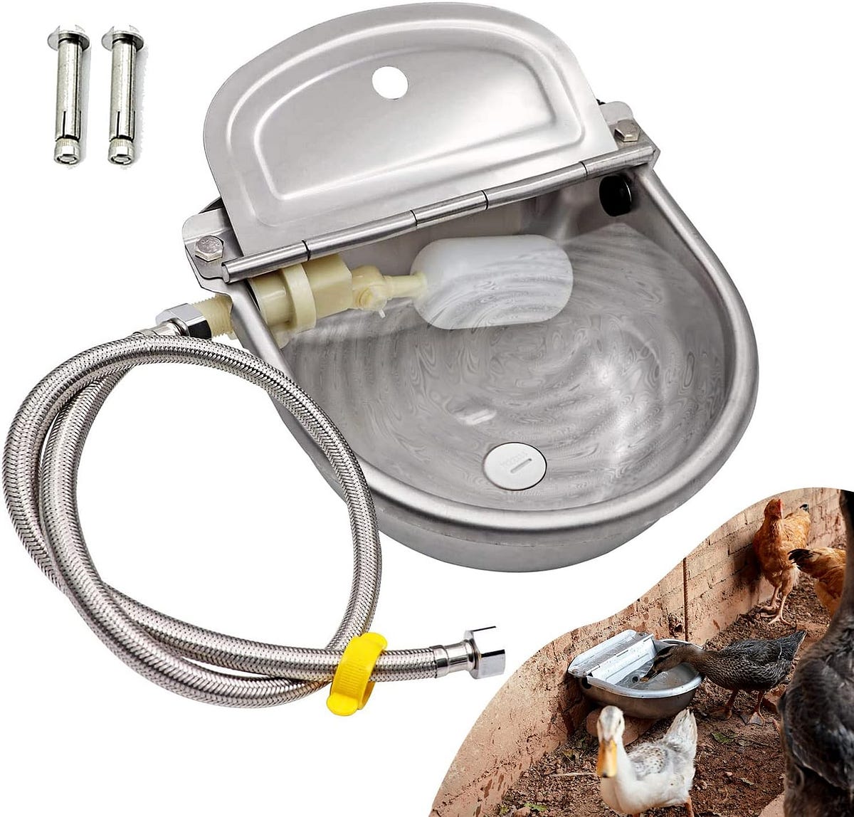 Automatic Water Bowl Dispenser for Dog Large Size Stainless-Steel ...
