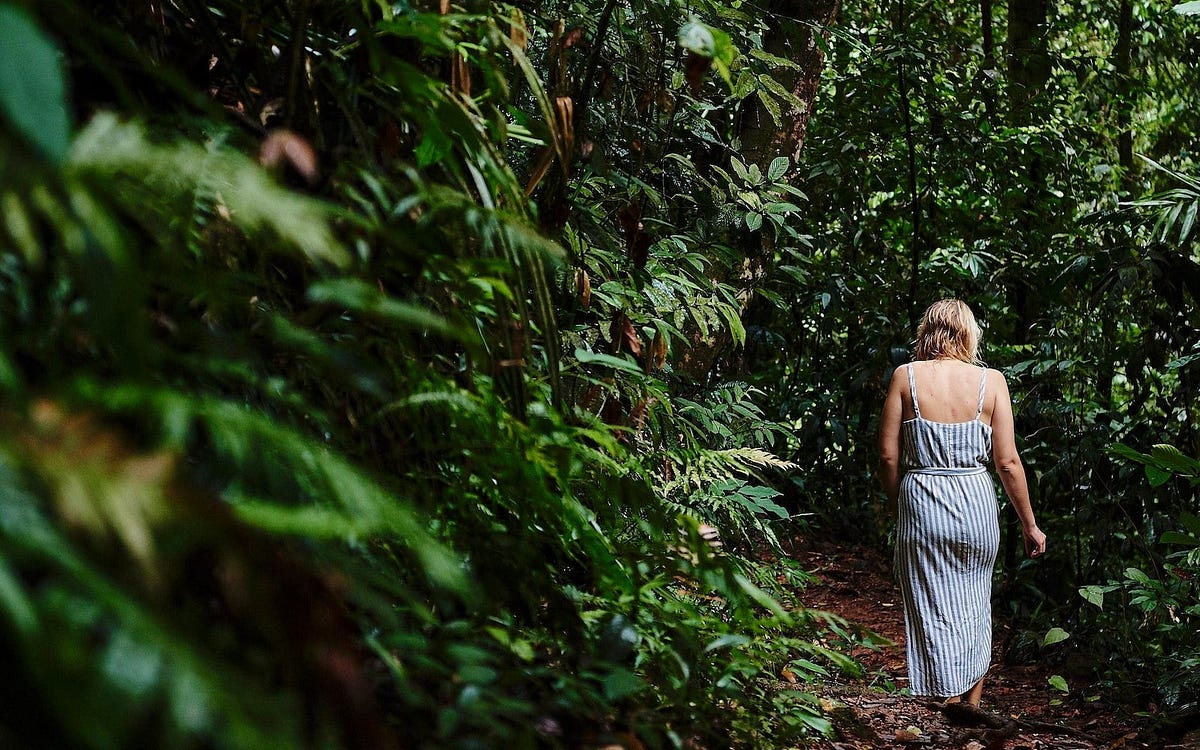 Forest Bathing: What is it and the Benefits. | by Oliver Harper, MA, MS ...