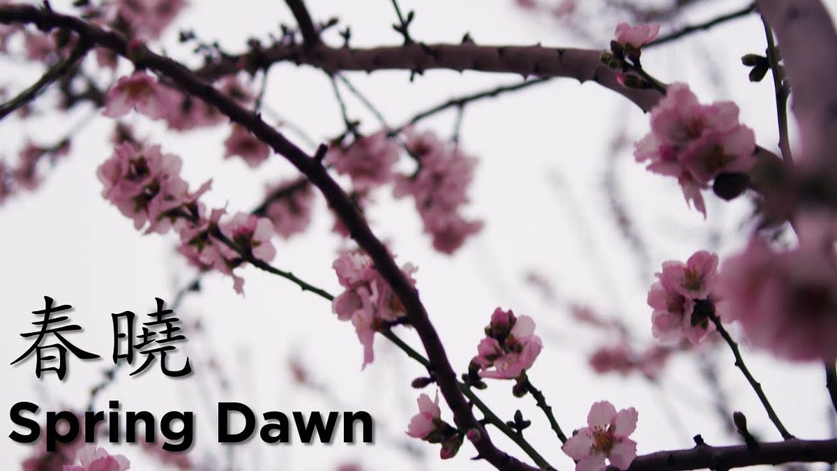 Embracing Spring’s Ephemeral Beauty: Meng Haoran’s ‘Spring Morning’ — A ...