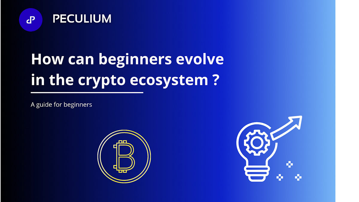 How Beginners can evolve in the Crypto Ecosystem | by Peculium | Medium