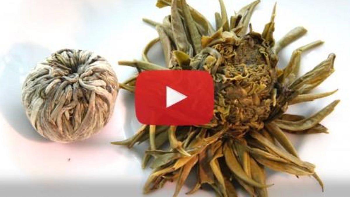 Eyesight flower ? Helps restore 20/20 vision | by Iautu | Aug, 2024 ...