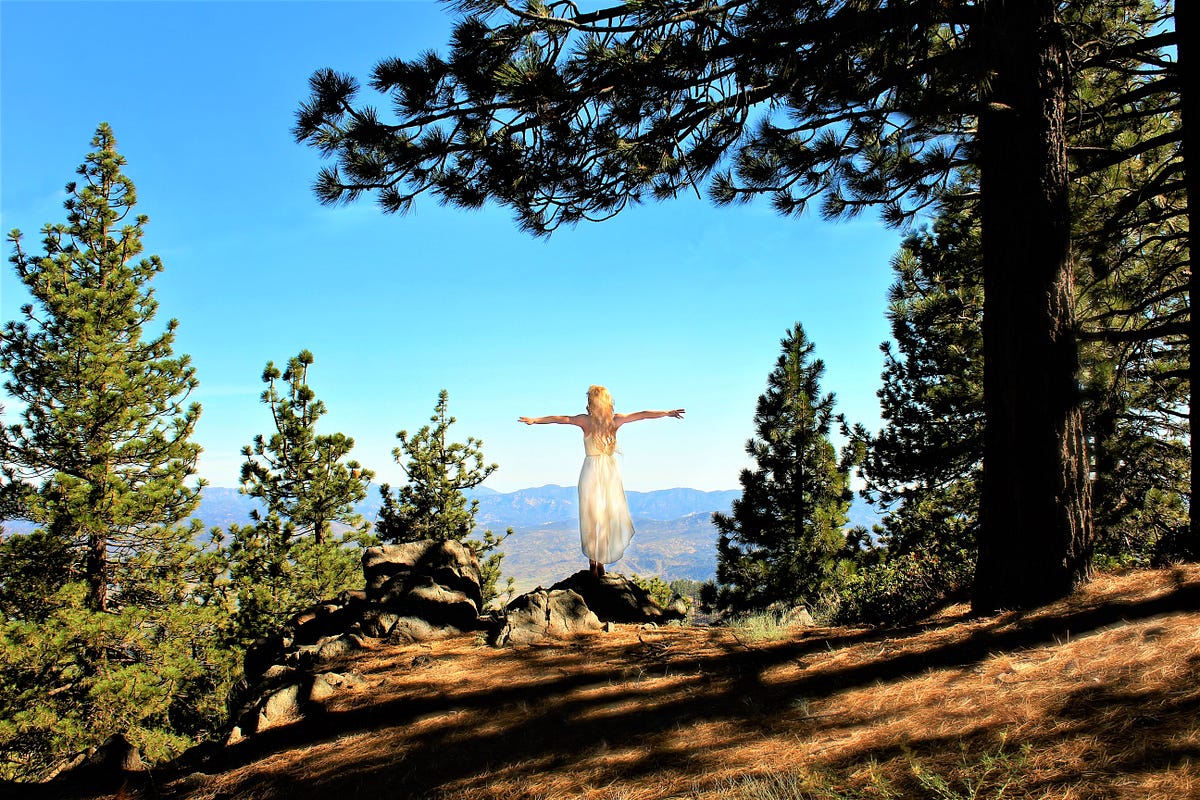The 8 Principles of Perfect Health | by Joshua Milligan | Medium