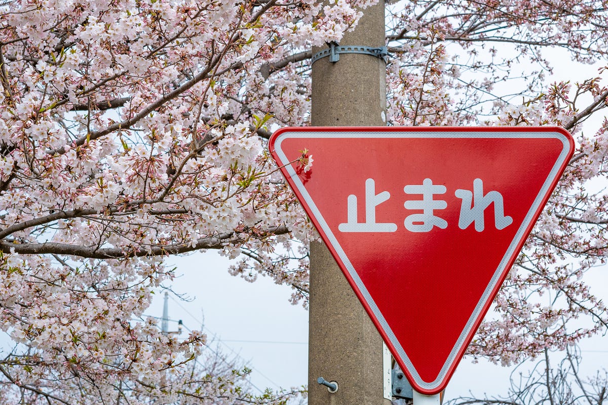 5 Reasons Why Japanese Is One Of The Easiest Languages To Learn By DC 