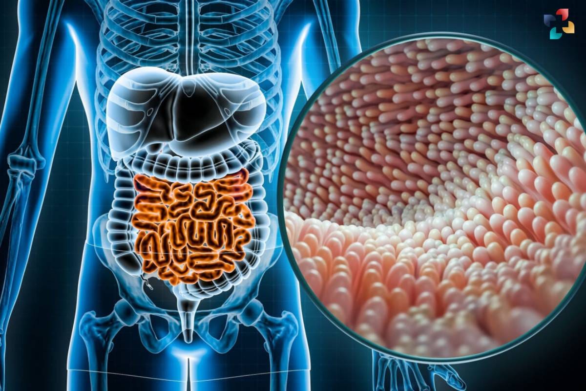 The Secret Potential of Gut Bacteria: Adapting to Oxygen-Free World ...