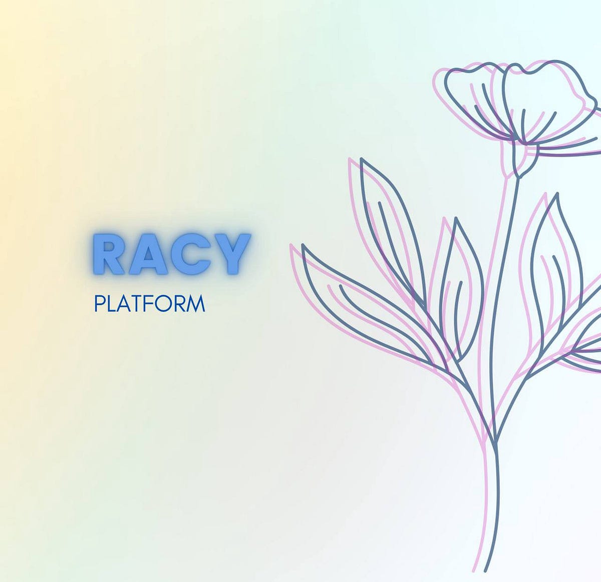 🌍 RACY PLATFORM. The RACY platform is a social media… | by RACY ...