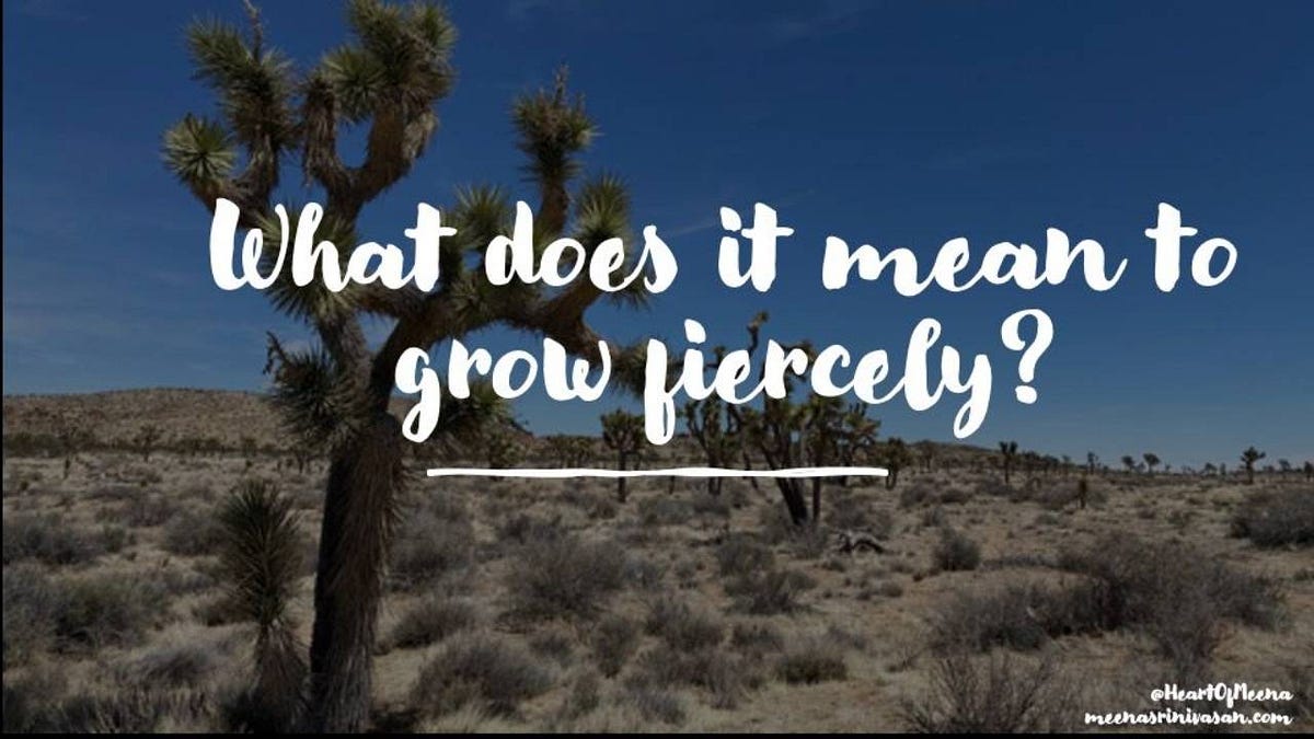 What does it mean to grow fiercely? | by Meena Srinivasan | Medium