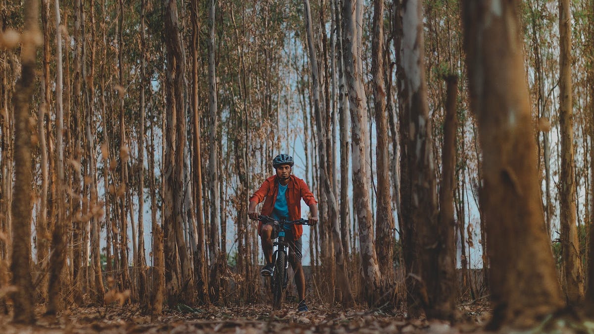 The Turahalli Forest — Turahalli Cycling trail | by kalai varun ...
