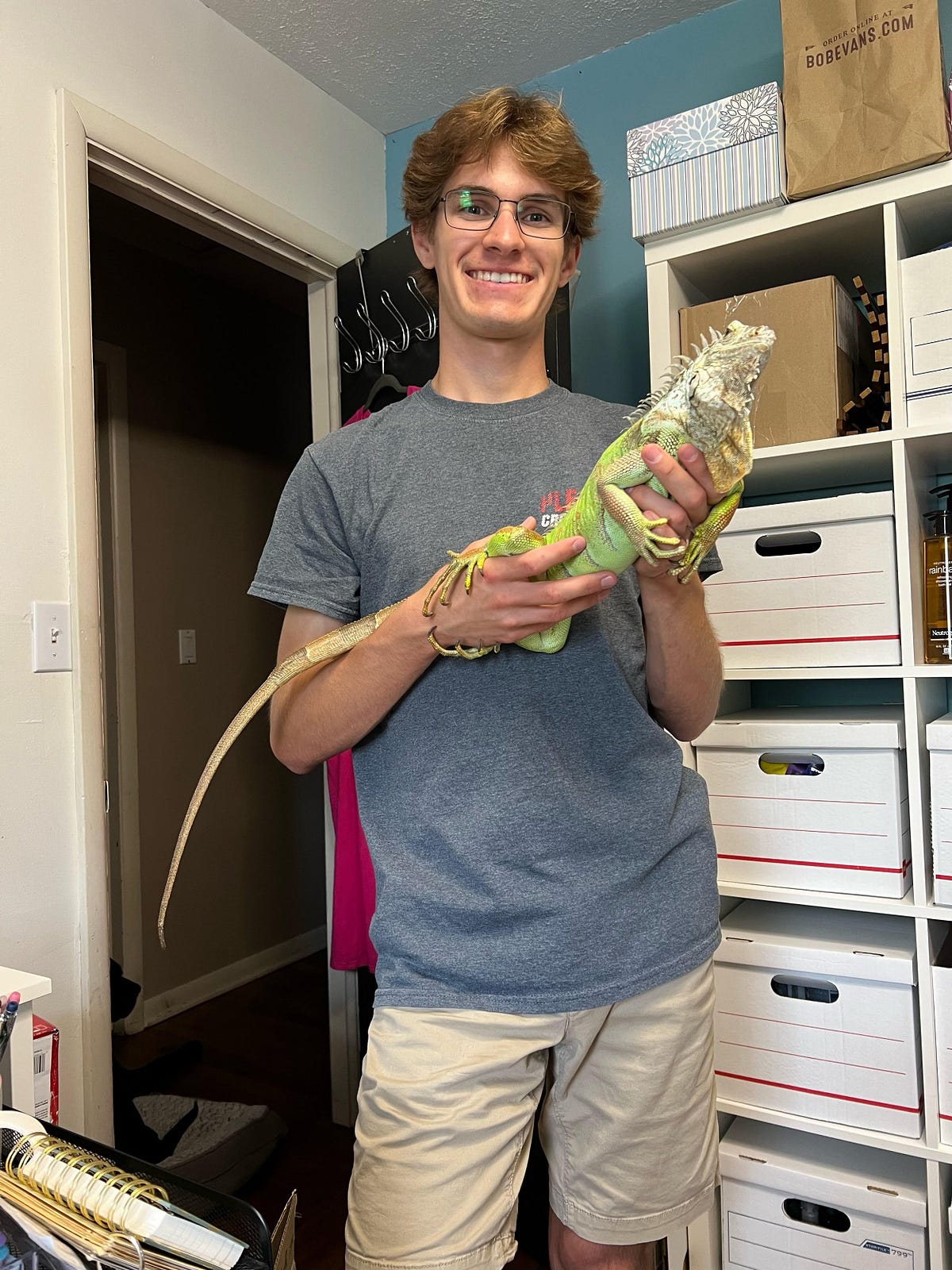 Student teaches reptile care. Jonah Bowdle instructs folks how to… | by ...