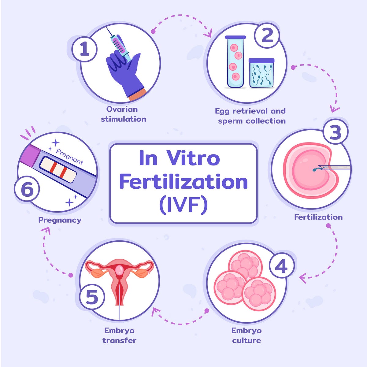 In Vitro Fertilization — IVF: Is It Right For You | by Healix Hospitals ...