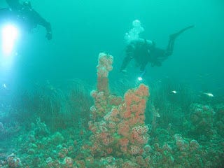 Divers on USS Hogan…. | by Michael Bear | Rapture of the Deep | Medium