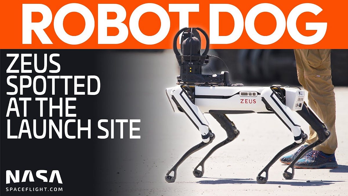 Robot Dog Roams at the Launch Site | SpaceX Boca Chica - Elon-Vs-Jeff ...
