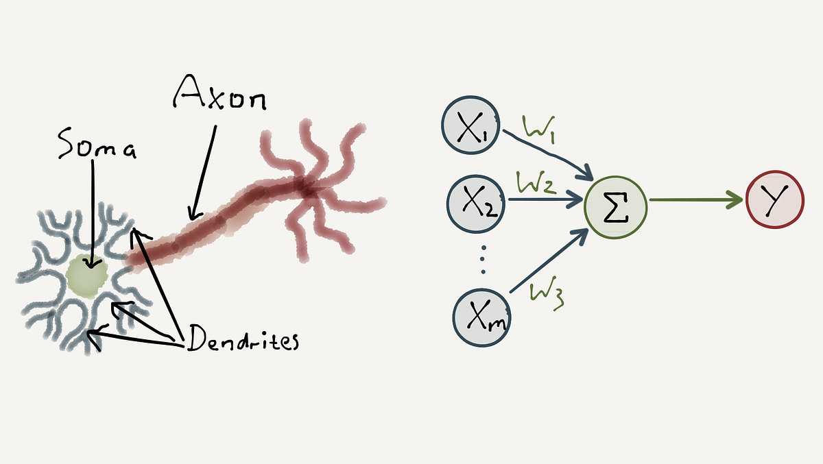 Exploring the MCP Neuron: A Foundational Pillar of AI | by Soudoju ...
