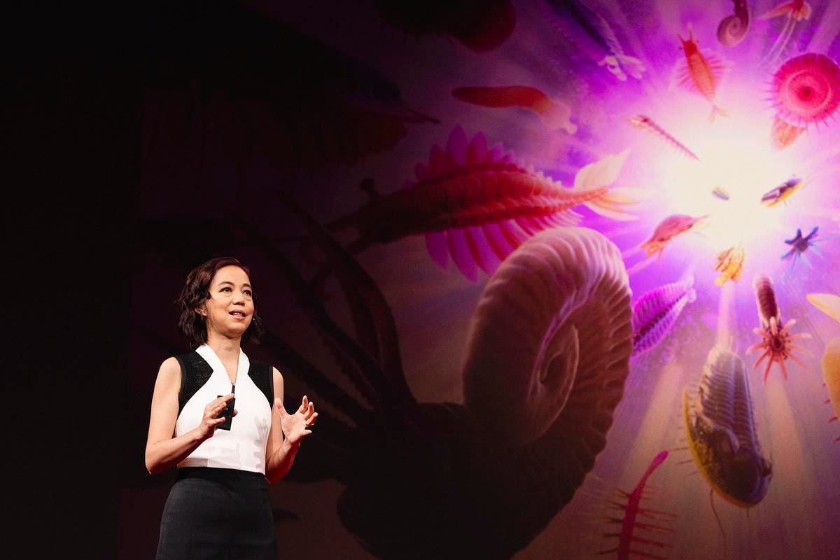 ImageNet to World Models: Why Spatial Intelligence is AI’s Hardest ...