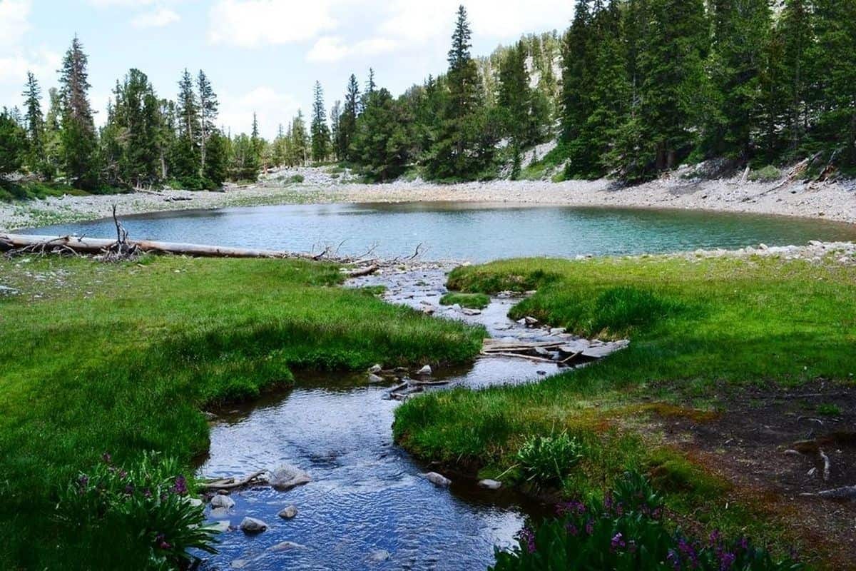 12 Great Basin National Park Boondocking Spots | by John Rodgers | Medium