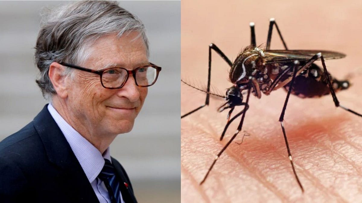 Fake News: Bill Gates To Blame for Increased U.S. Malaria Cases | by ...