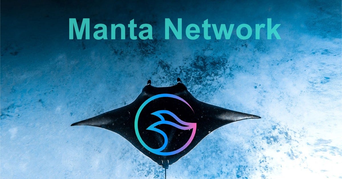 Manta Network — Privacy on Polkadot | by Skiba | Medium