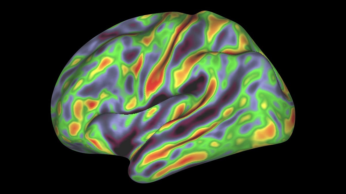 Decoding language development | by eLife | Brains and Behaviour | Medium