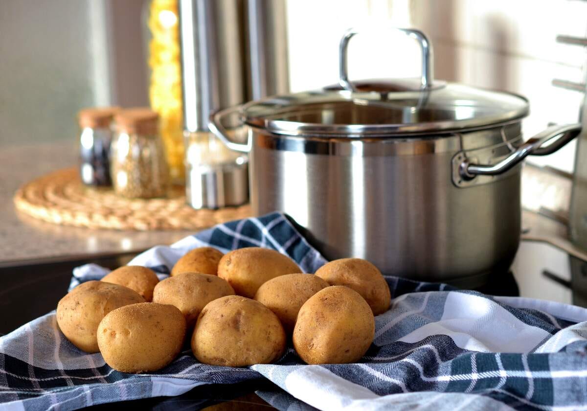 It’s National Potato Day | August 19, 2025 | by Checkiday | Aug, 2025 ...