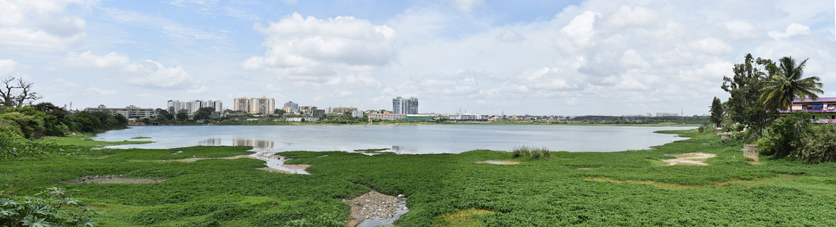 What is Blue Infrastructure Worth? The Value of Lakes Around an ...