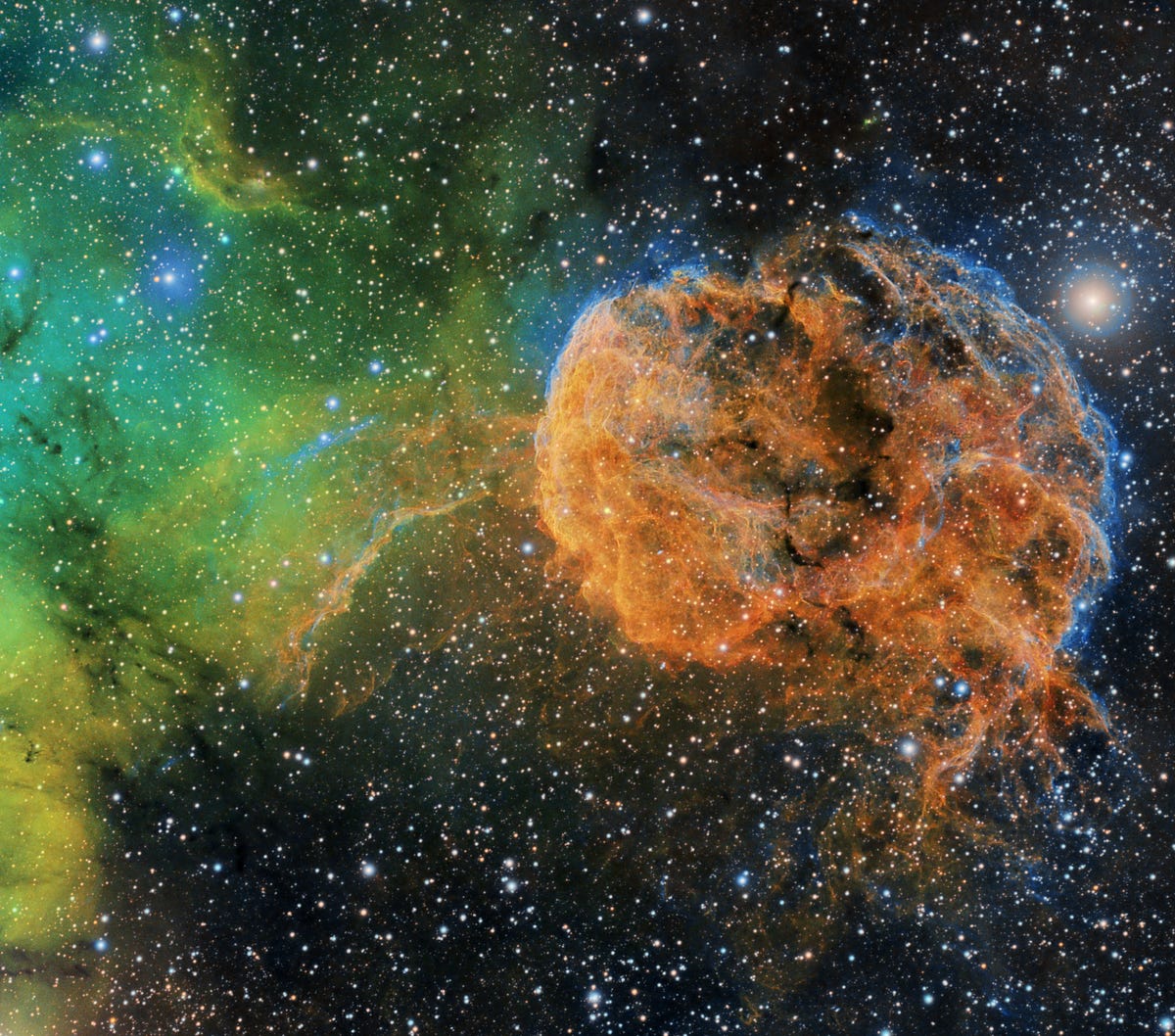 The dim and detailed jellyfish: A 112-hour collaboration from three ...