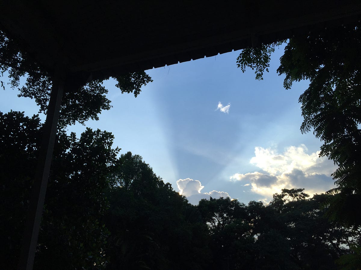 What is Man’s Final End and how do we come to know this? | by Teresa ...