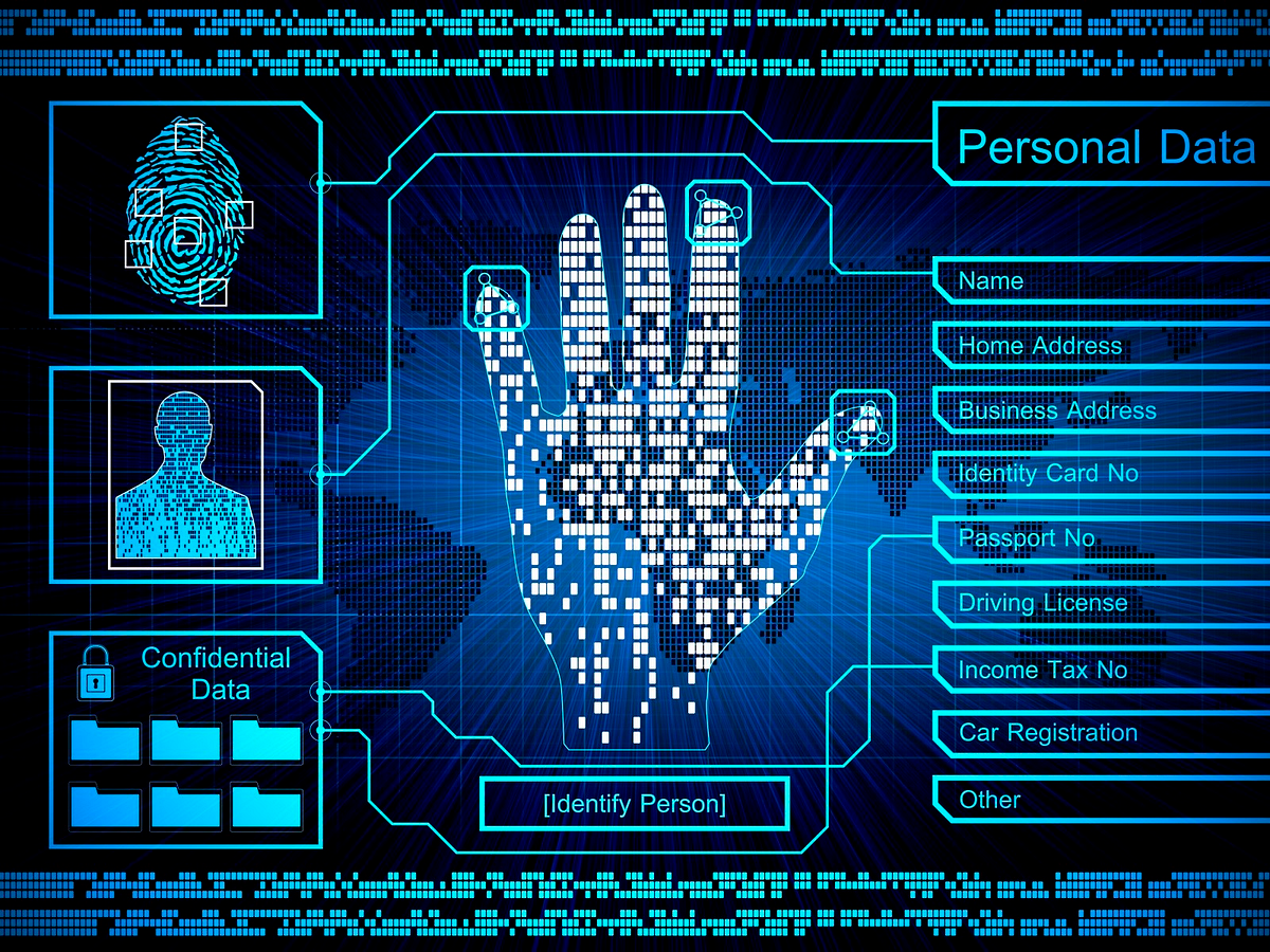 Understanding Data Privacy. The Objective and Scope of Nigeria Data ...
