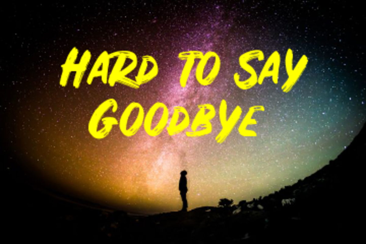 Hard to Say Goodbye. There are no words | by Brenda Arledge | Never ...