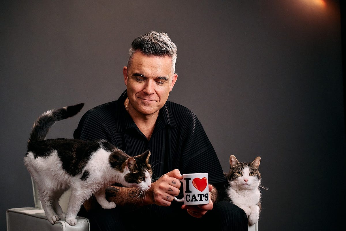 Gatti, Robbie Williams mette la faccia e la voce per Purina Felix | by ...
