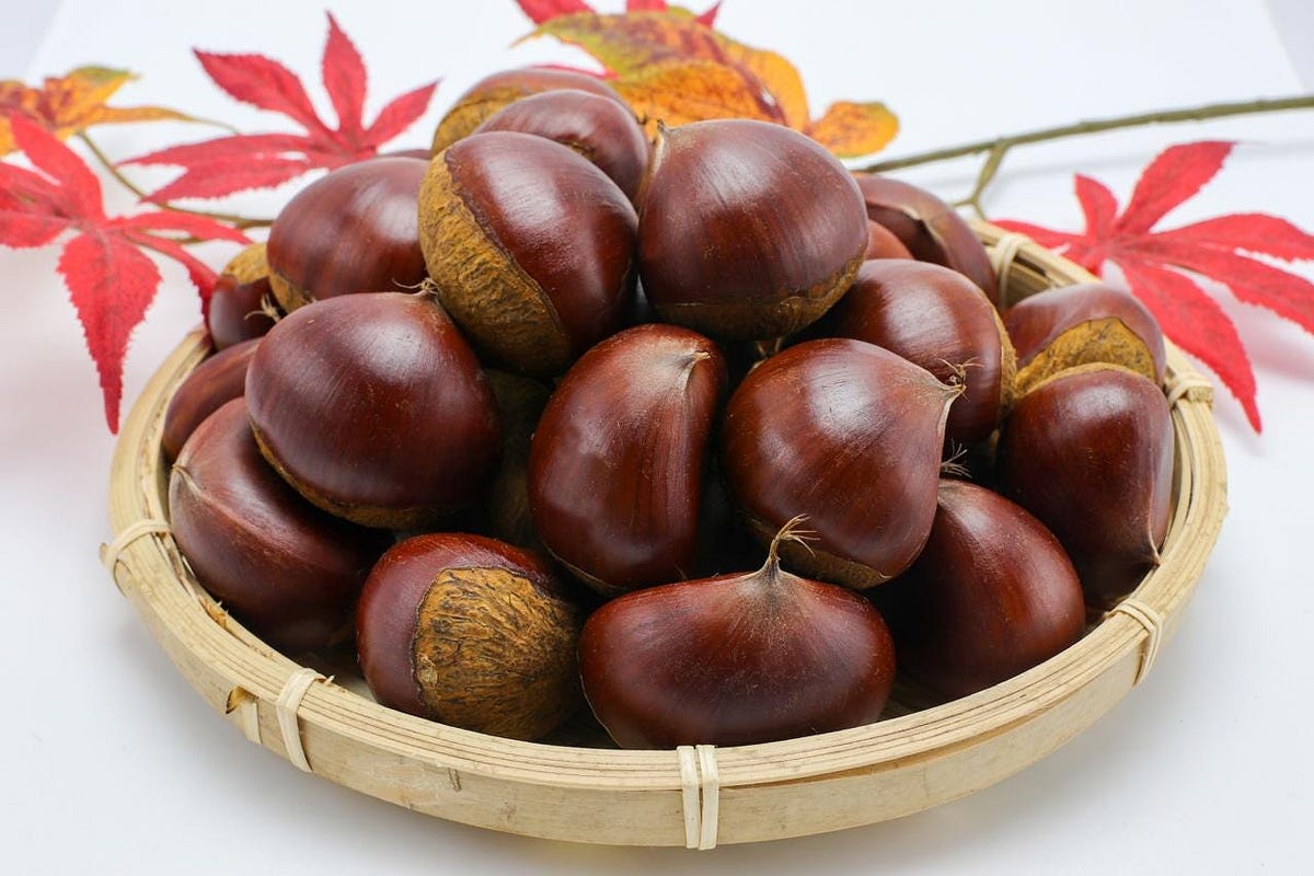 🌰 Chestnuts（Kuri ） — The Spirit of Autumn in Japan | by SAMURAI Masako ...