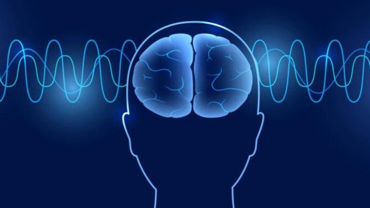 Harnessing Brainwave Frequencies: A Guide to Manifesting Your Dream Life | by Anastdamasco | Jul ...