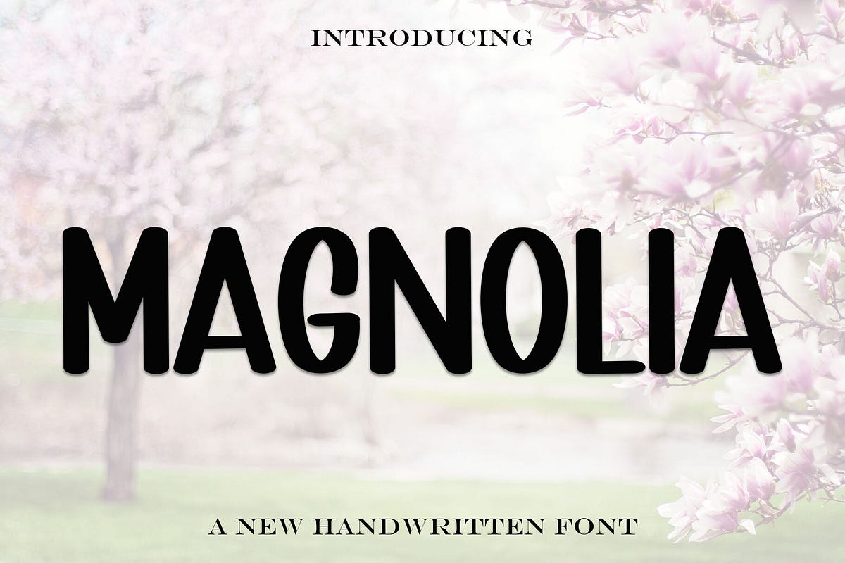 Magnolia Font | by Lilylumos | May, 2024 | Medium