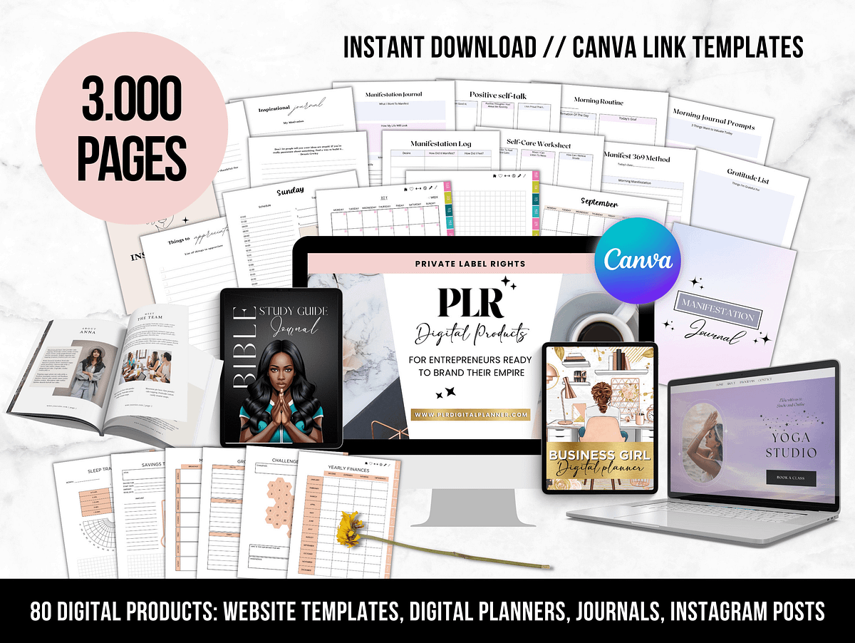 PLR 80 Digital Products Bundle | by Sparksasha | Jun, 2024 | Medium