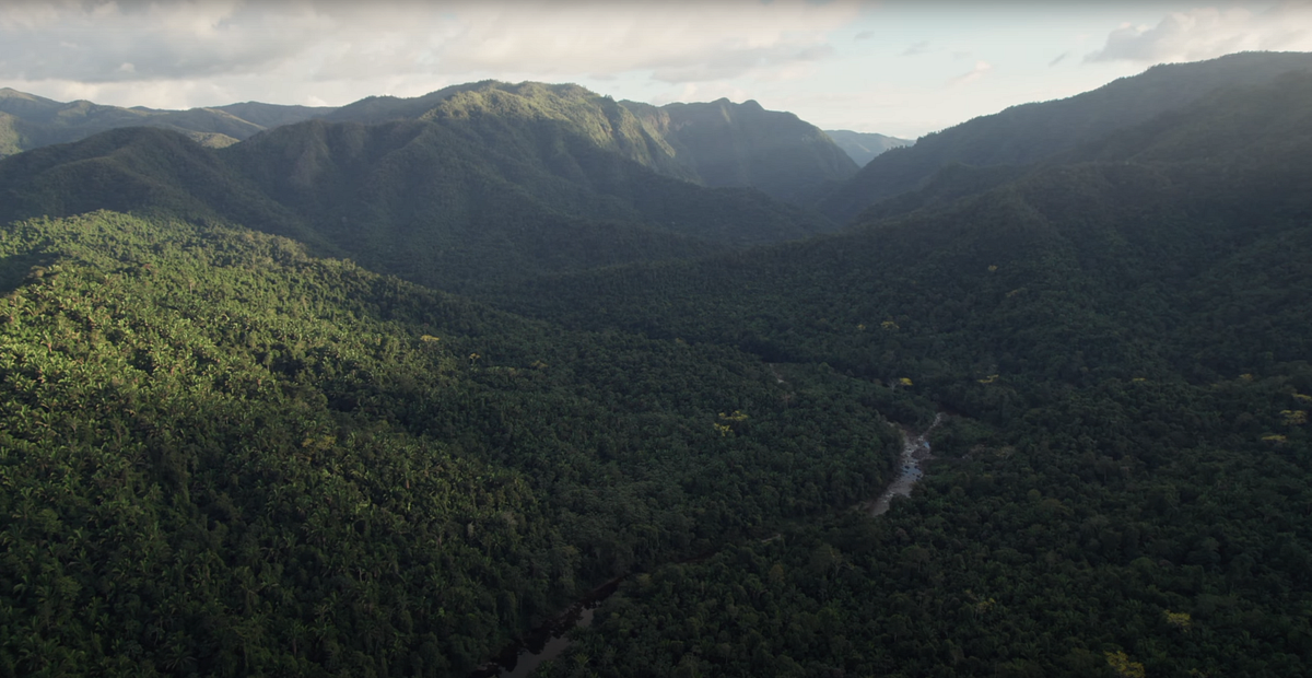 A New Series by The Belize Collection Is Putting a Spotlight on Local ...