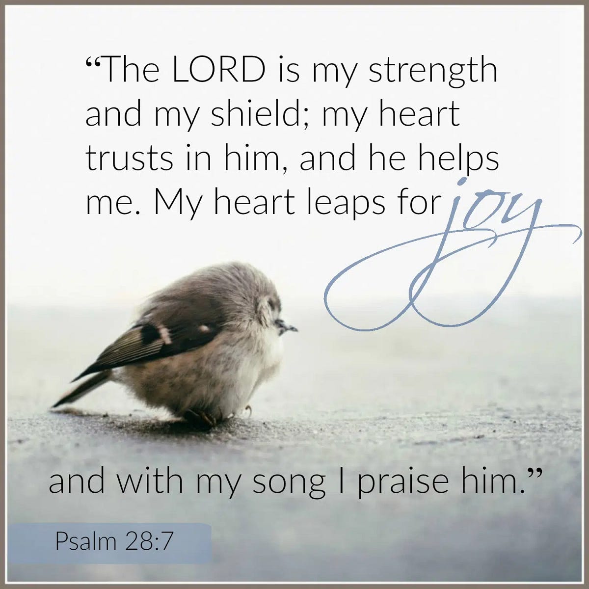 The Strength of Almighty God Gives Us the Courage to Carry On | by Mrs Diane Mary Markey | Medium