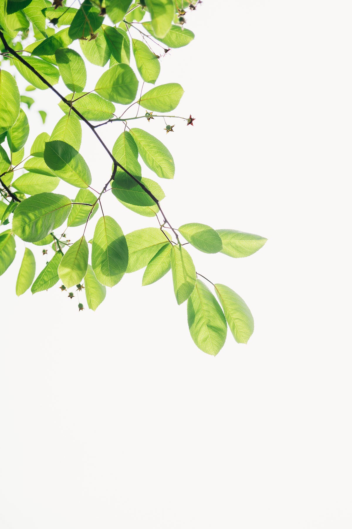 Poetry Writing Prompts — Week Twenty-Three | by Chelsea Marie | The Storyteller’s Vault | May ...